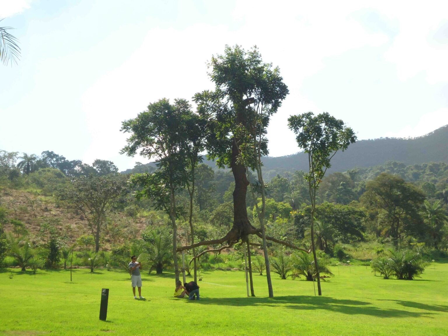 Inhotim: obras de arte e galerias imperdíveis » Segredos de Viagem