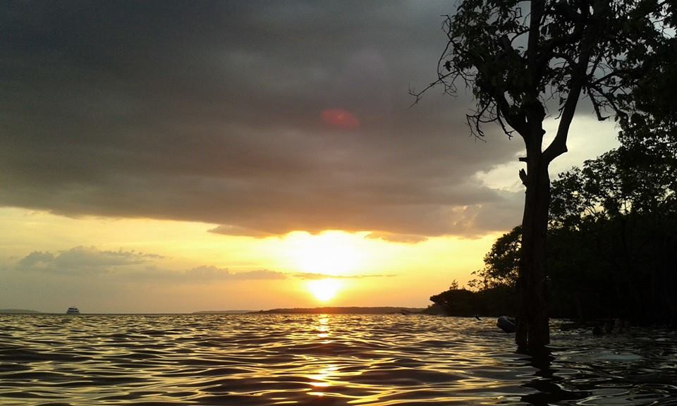 Cidades Incríveis: Manaus - uma jóia cercada de Amazônia » Segredos de ...