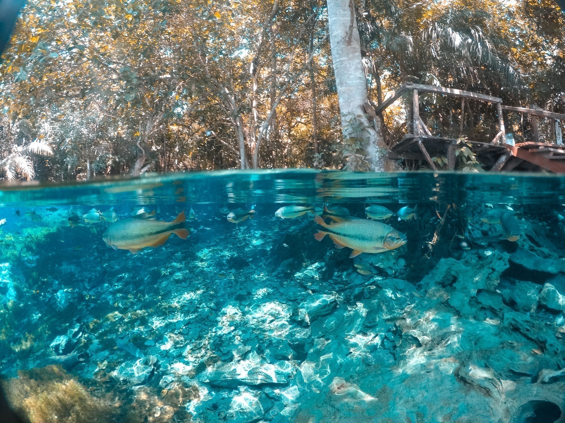 Meu roteiro em Bonito e sugestões para 4, 5, 6 ou 7 noites » Segredos ...