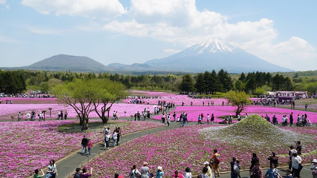 Monte Fuji, no Japão: saiba tudo sobre como visita-lo » Segredos de Viagem